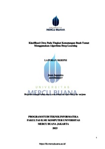 KLASIFIKASI CITRA PADA TINGKAT KEMATANGAN BUAH TOMAT MENGGUNAKAN ALGORITMA DEEP LEARNING - UMB ...
